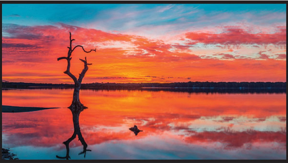 Lone Tree Australian Photography DV529 Cotton Quilting Fabric Panel ...